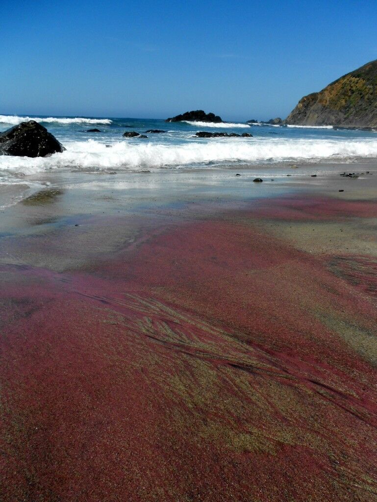 Purple Sand Beach – National Parks Blog