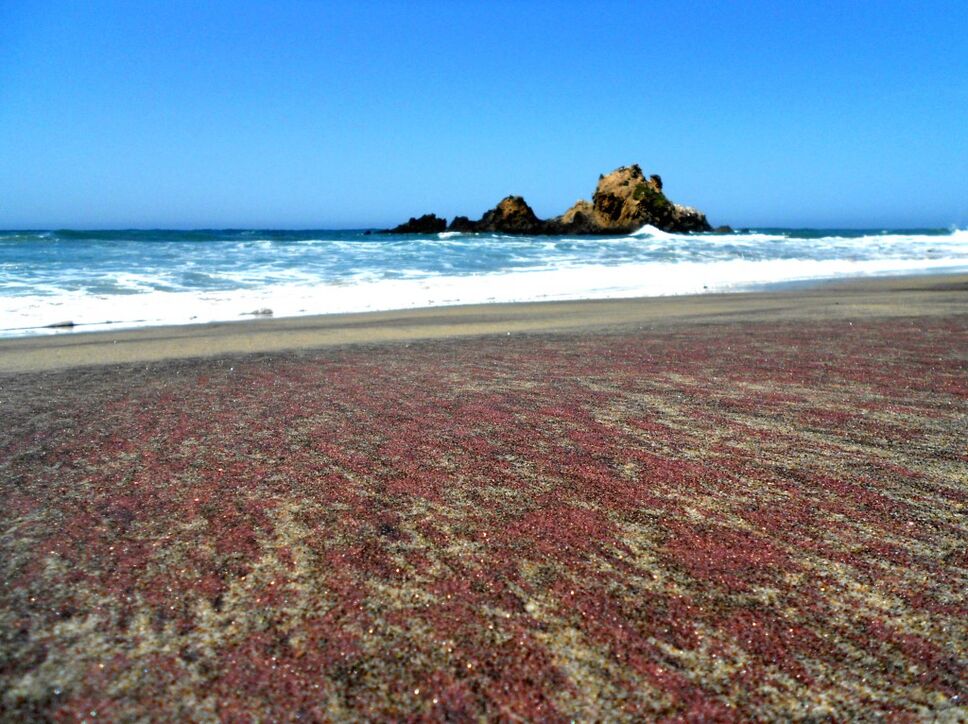 Purple Sand Beach – National Parks Blog
